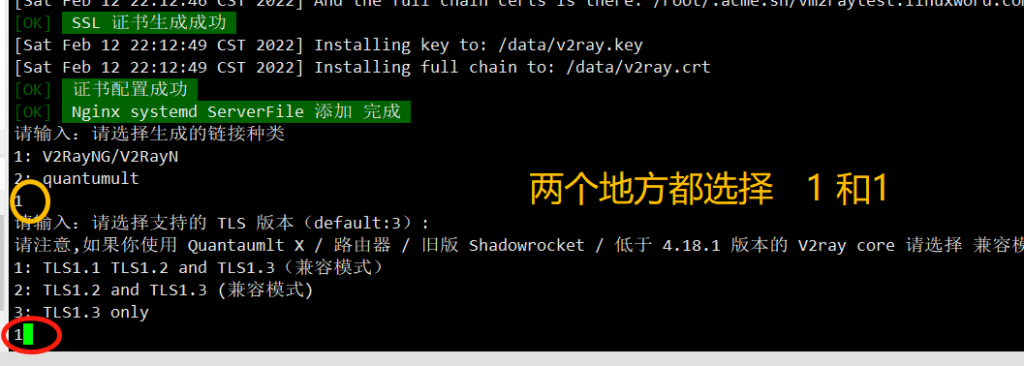 简单V2RAY(VMESS+TLS)的搭建方式(最稳定的协议+高端口) - Linuxword Global
