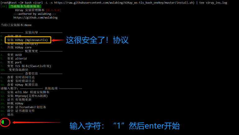 简单V2RAY(VMESS+TLS)的搭建方式(最稳定的协议+高端口) - Linuxword Global