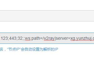 SSTap 教程及常见问题 · Windows - Linuxword Global