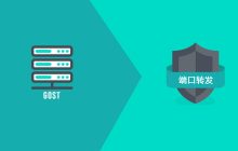 SSTap 教程及常见问题 · Windows - Linuxword Global