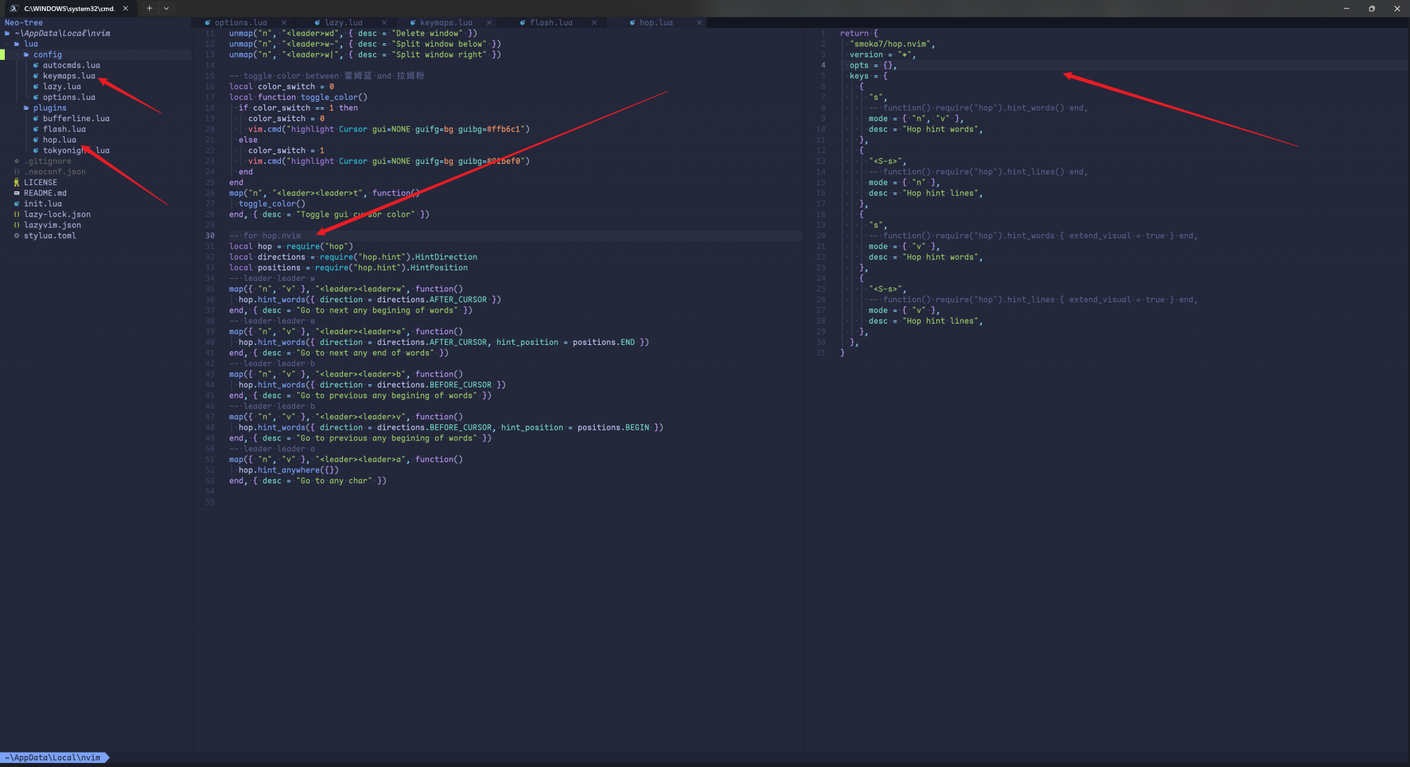 Lazyvim 从零开始配置 - Linuxword Global